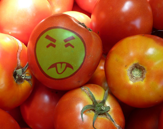 Ta-may-toe, Ta-mah-toe: Lessons in complexity from a fruit – PlaceMakers