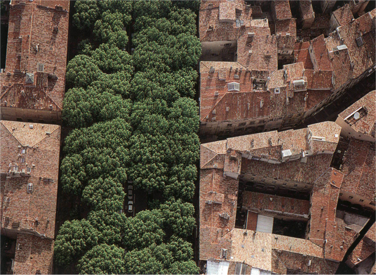 Elevate Your Thinking: Light, air and connectivity beyond the street ...